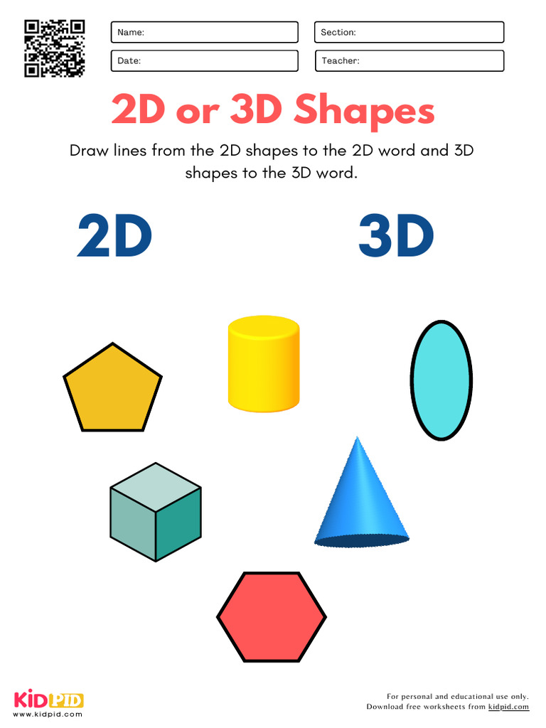 2D and 3D Shapes Identification Worksheet | PDF