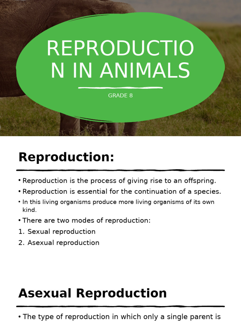 Grade 8 reproduction I (1) | PDF | Reproduction | Testicle