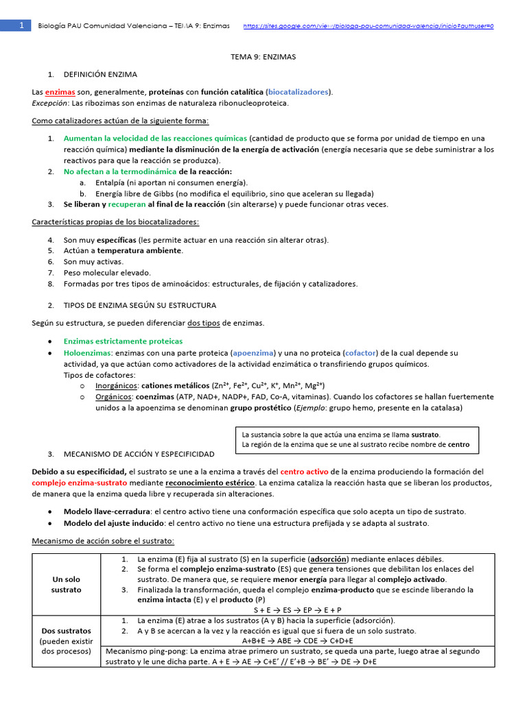 TEMA 9 Enzimas | PDF | Enzima | Sustrato (Química)