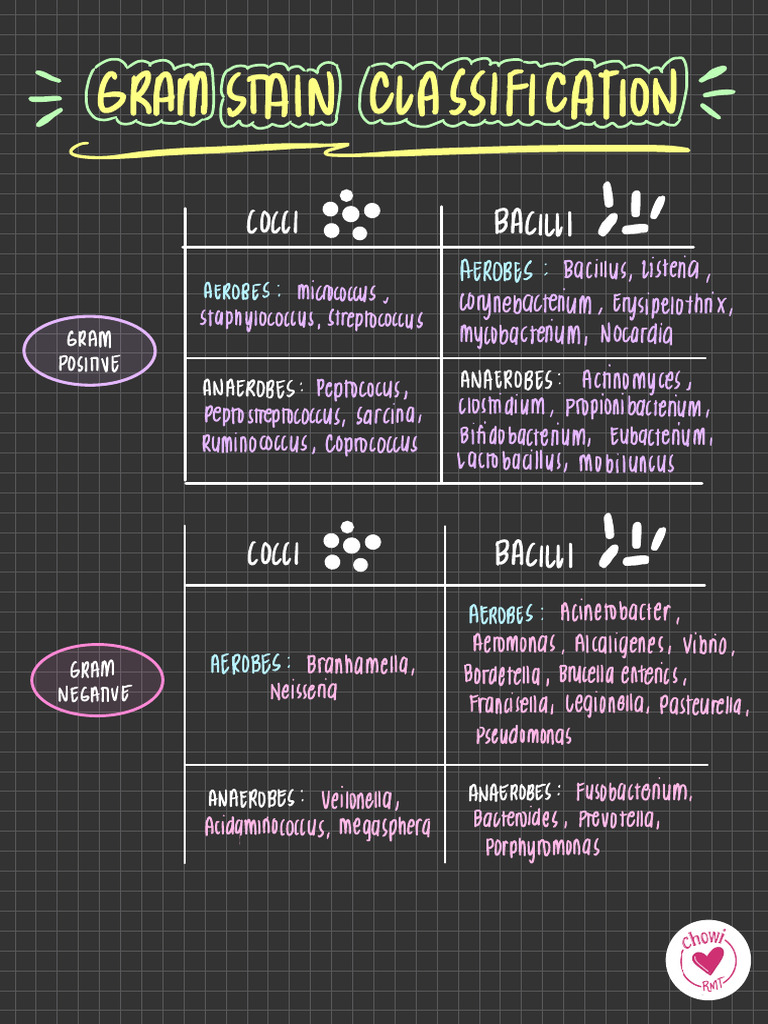 Gram Stain Classification | PDF