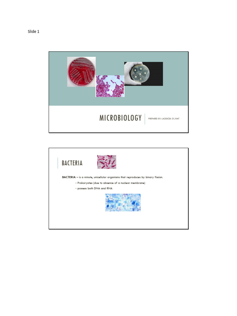 Micropara Notes PDF | PDF | Streptococcus | Staphylococcus