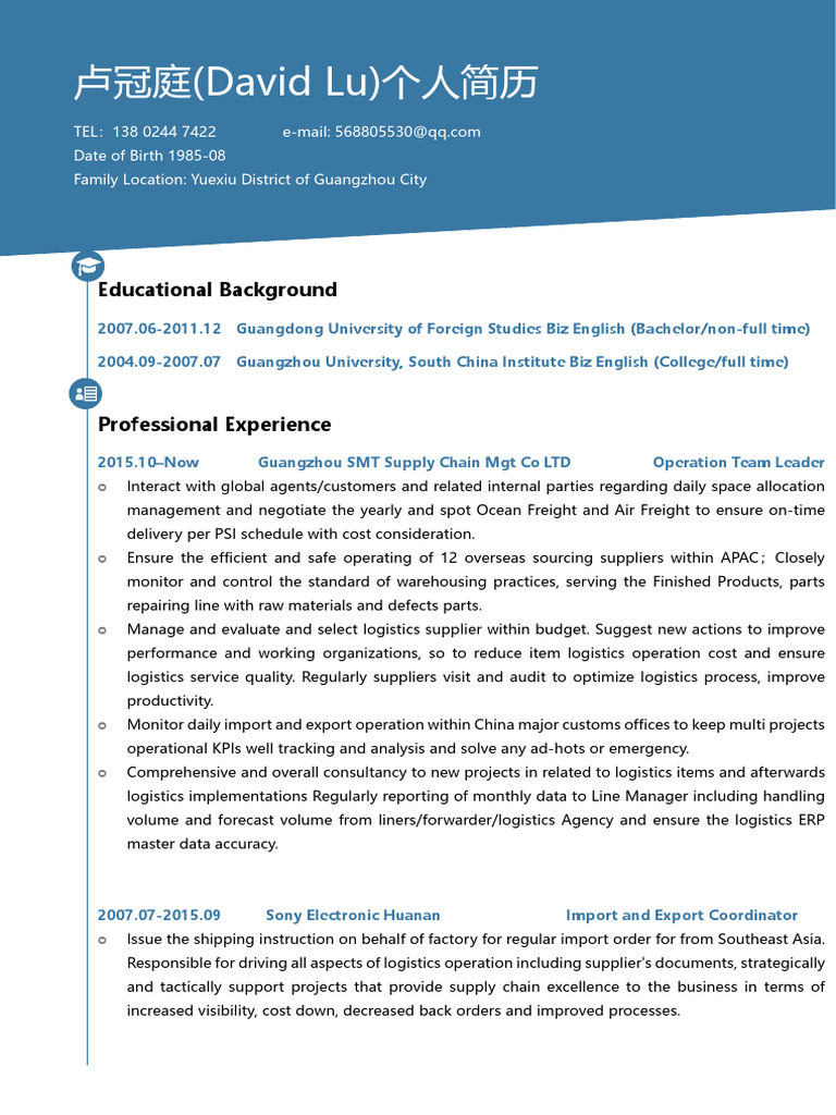 David Lu's en Cv-Parfois | PDF | Logistics | Supply Chain