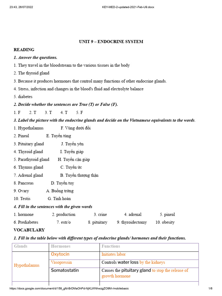 Endocrine System Overview and Functions | PDF | Endocrine System | Hormone