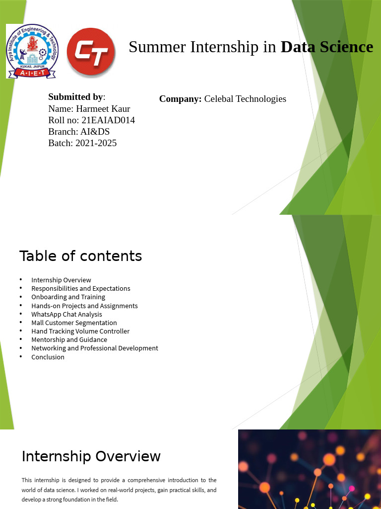 Data Science Internship Overview 2021 | PDF | Data Science | Mentorship