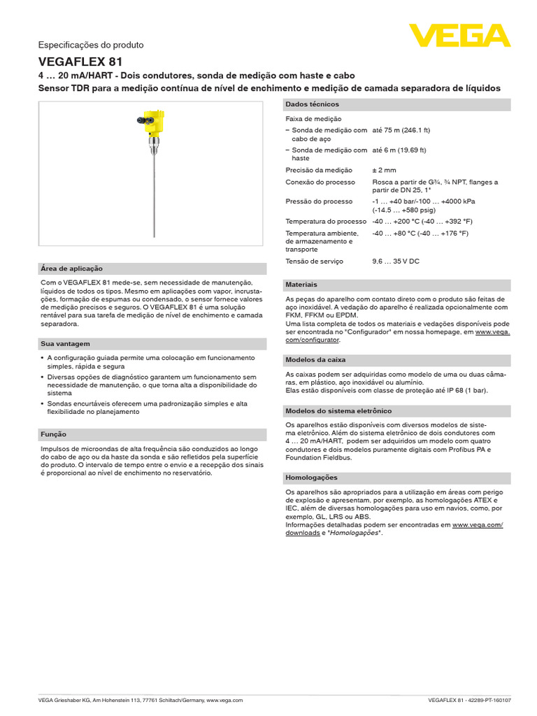 PT VEGAFLEX 81 4 20 Ma HART Two Wire Rod and Cable Probe | PDF