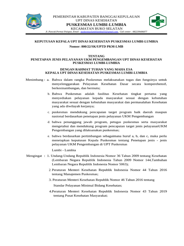 Sk Jenis-jenis Pelayanan Ukm Pengembangan Lesi | PDF