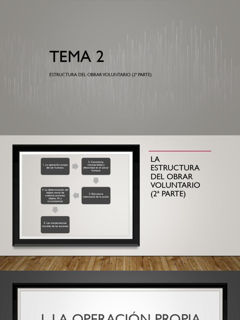 Estructura del Obrar Voluntario: Conciencia y Moralidad | PDF ...