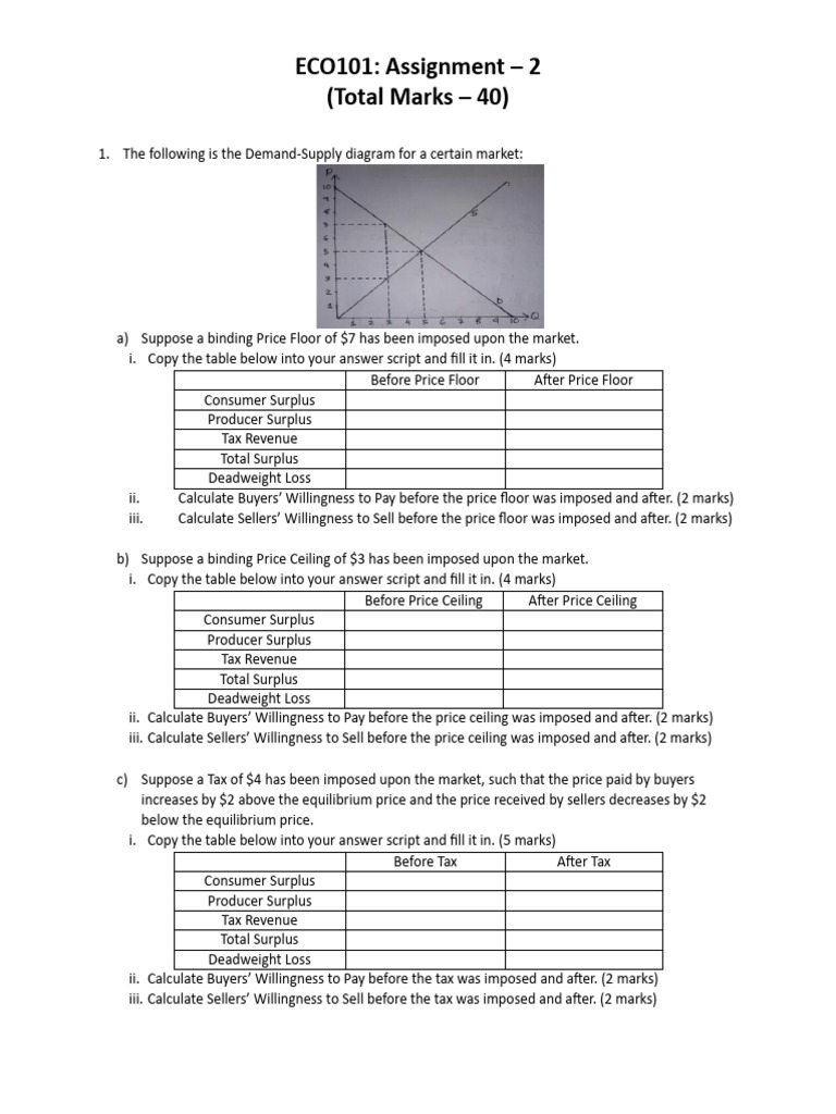 ECO101_Fall24_A2 | PDF | Economic Surplus | Taxes