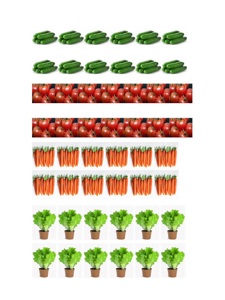 Verduras Pdf