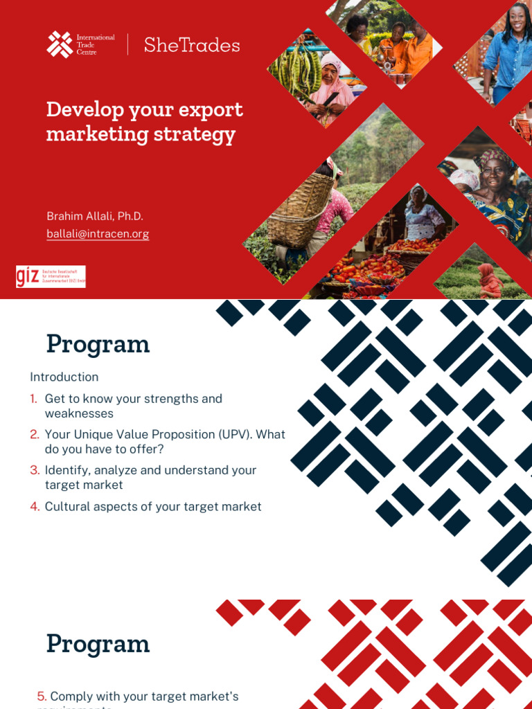 Export Strategy for Businesses | PDF | Digital Marketing | Intellectual ...