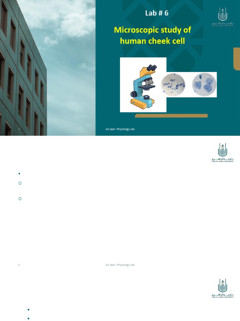 Lab.6. Cheek cell | PDF | Epithelium | Tissue (Biology)