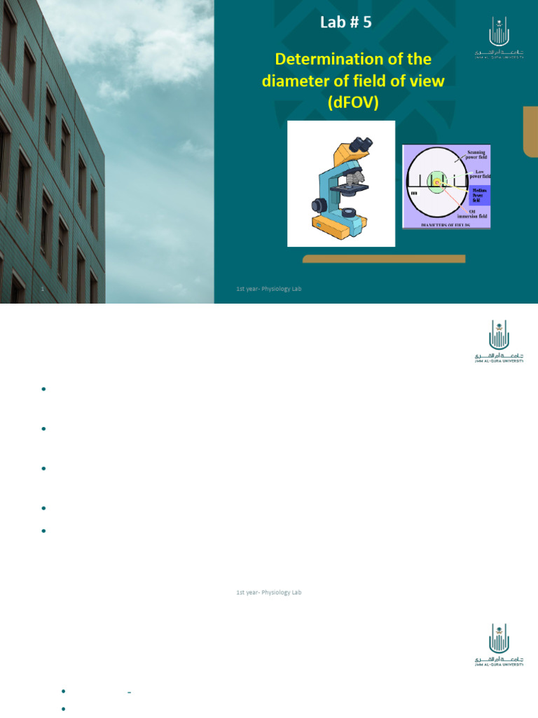 Lab.5. FOV | PDF | Field Of View | Optics