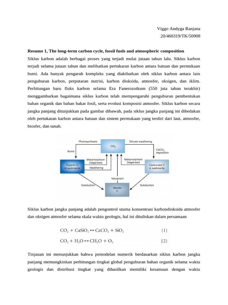 Geokimia Siklus Karbon | PDF