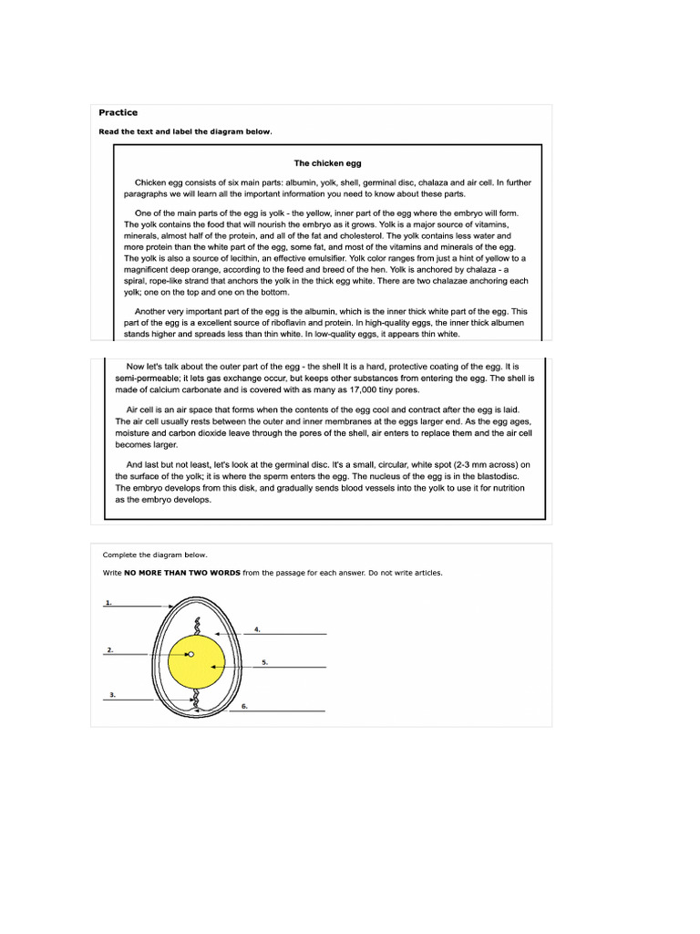 Diagram IELTS Reading Exercise | PDF