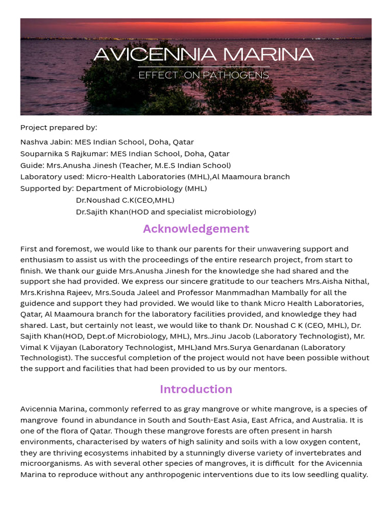 Procedure Draft | PDF