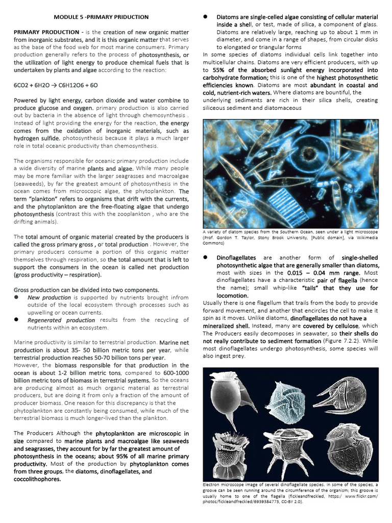 Module 5 Marine Science Reviewer | PDF | Primary Production | Phytoplankton