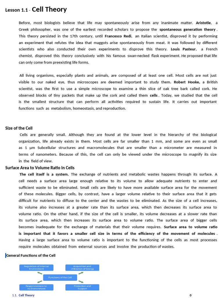 Understanding Cell Theory Basics | PDF | Cell (Biology) | Bacteria
