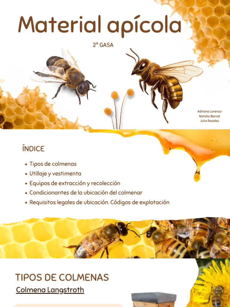 Material AP%C3%ADcola | PDF | Apicultura | Colmena