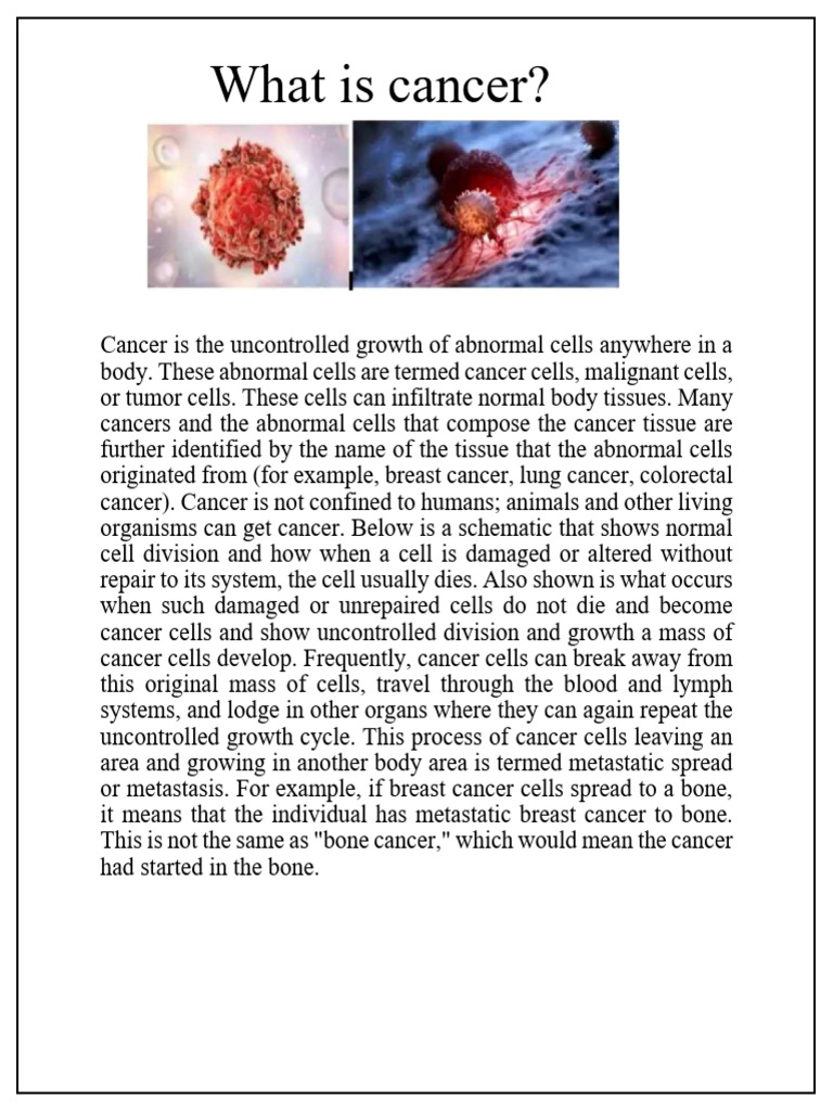 Understanding Cancer: Types and Treatments | PDF | Cancer | Pancreas