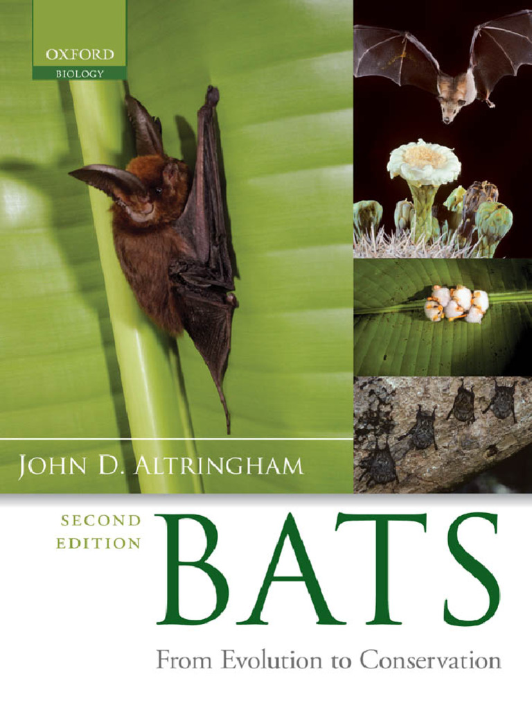 Bats From Evolution To Conservation | PDF | Bat | Ecology