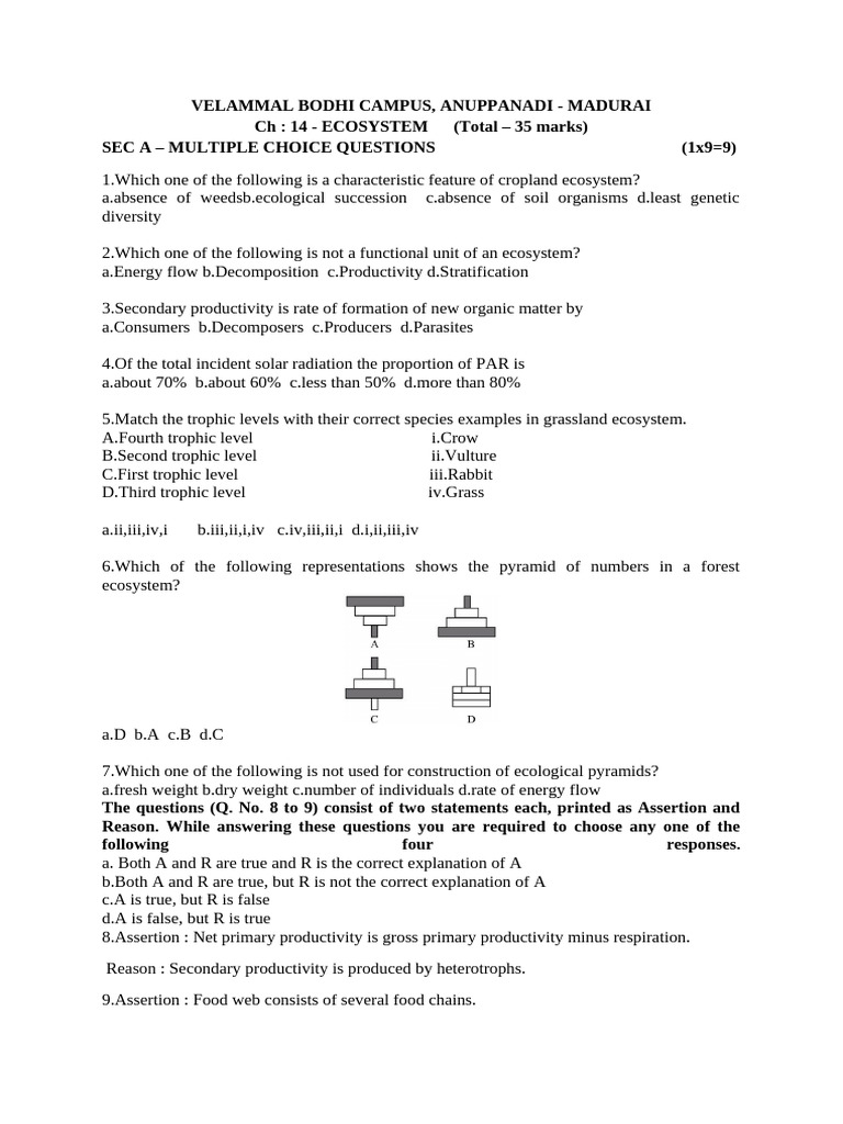 Ecosystem Xii Pdf Food Web Biomass Ecology