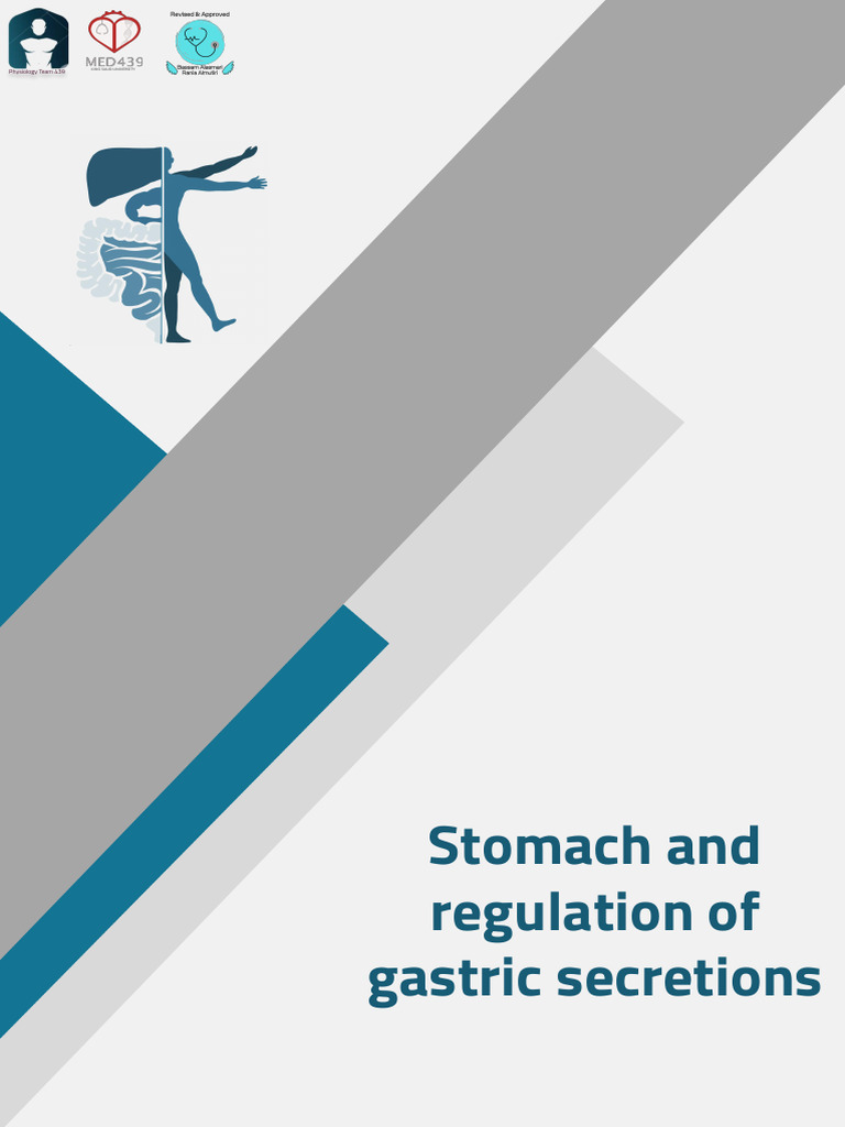 3 - Stomach and Regulation of Gastric Secretions | PDF | Stomach | Digestion
