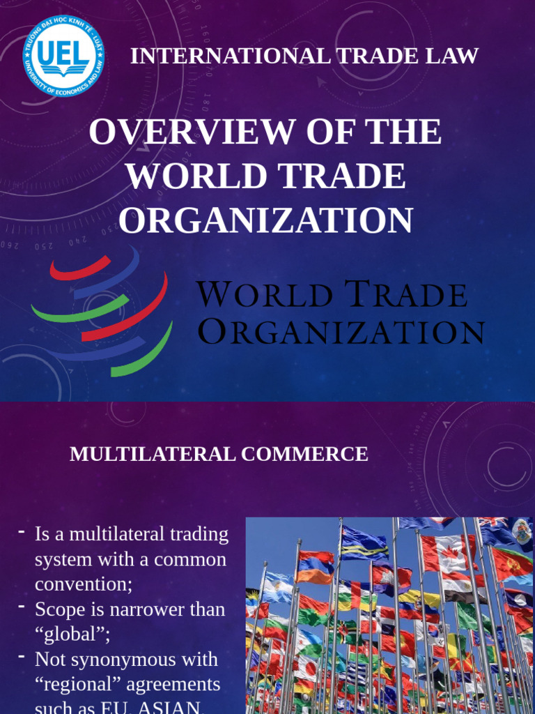 Lesson 2 (2) | PDF | World Trade Organization | General Agreement On ...