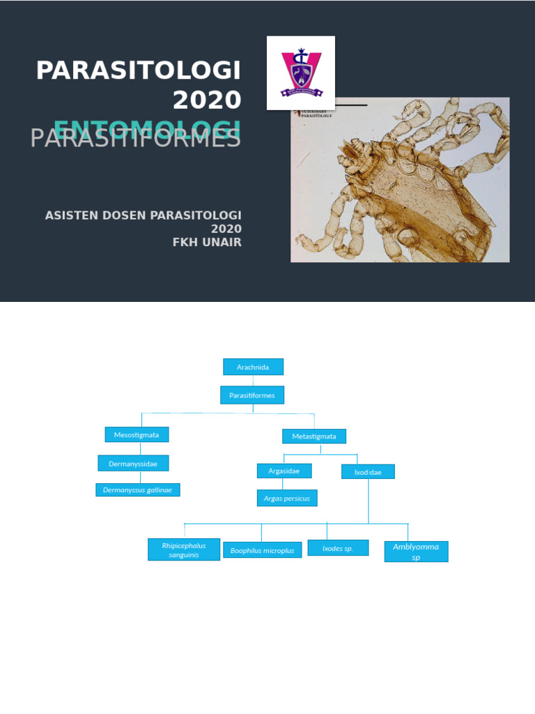 Entomologi (Parasitiformes) (Caplak) (Ticks) | PDF
