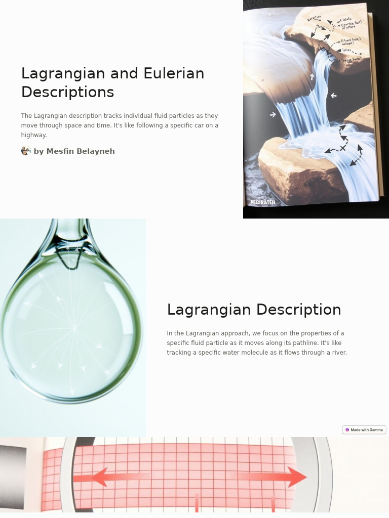Lagrangian and Eulerian Descriptions | PDF