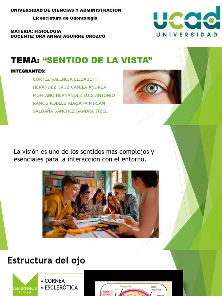 Fisiología del Ojo y la Visión | PDF | Ojo humano | Percepción visual