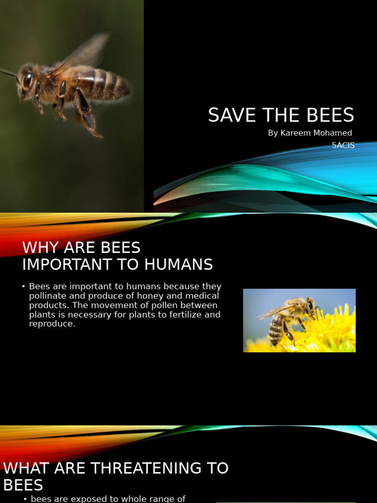 Save The Bees | PDF