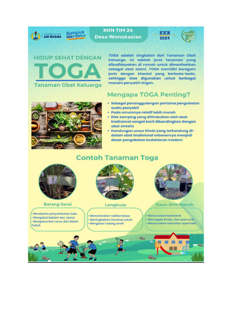 HKI 2 TANAMAN TOGA | PDF