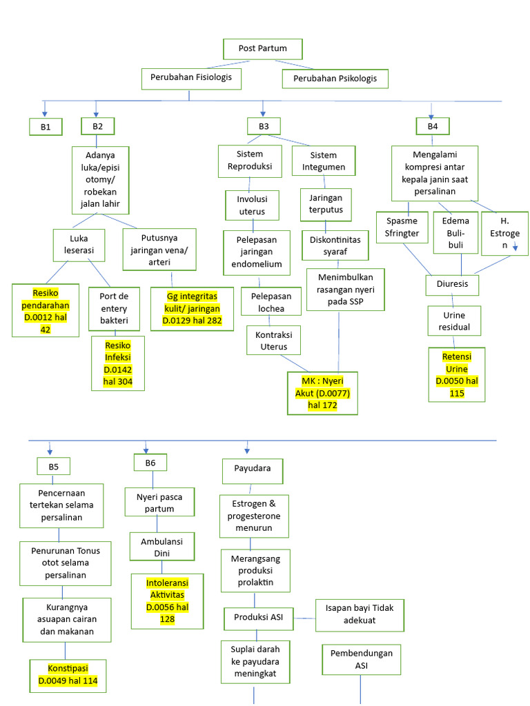 Woc Nifas b1-b6 | PDF