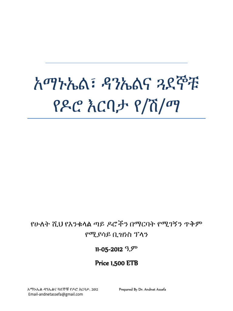 Proposal To Amare | PDF