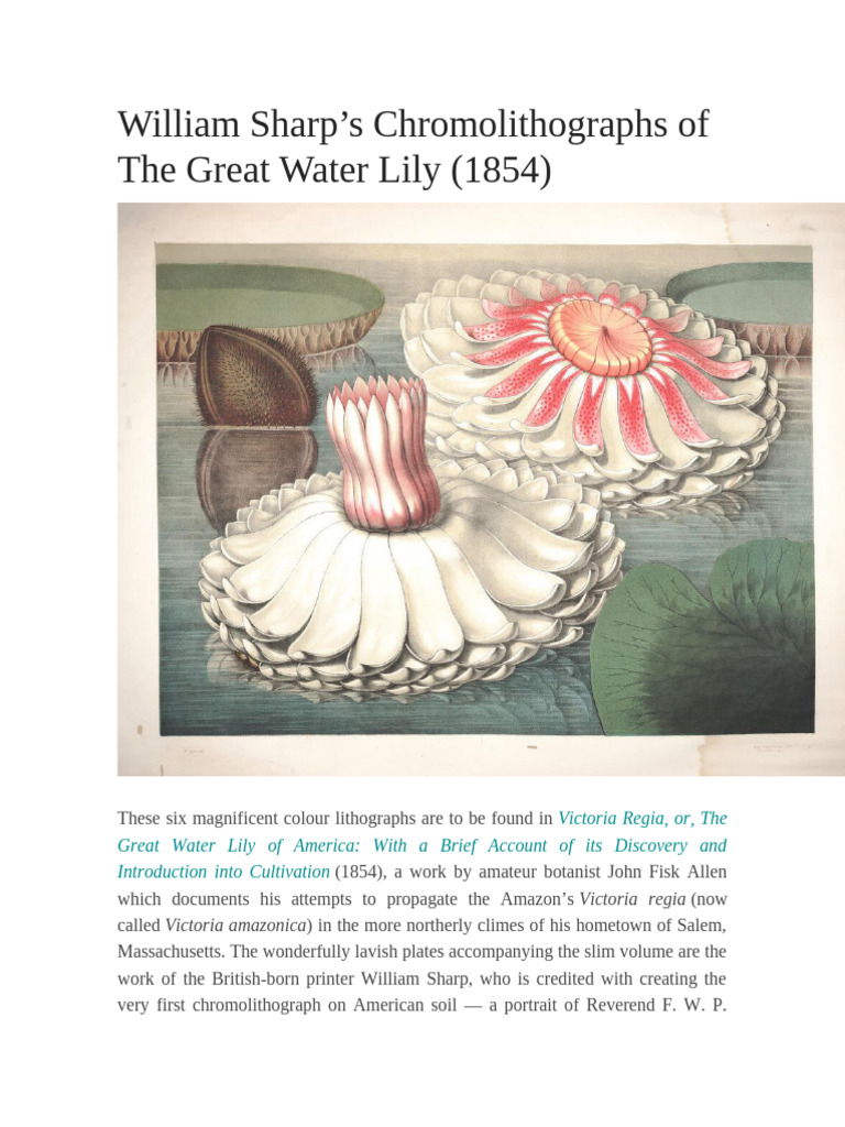 Chromolithographs of Great Water Lily | PDF