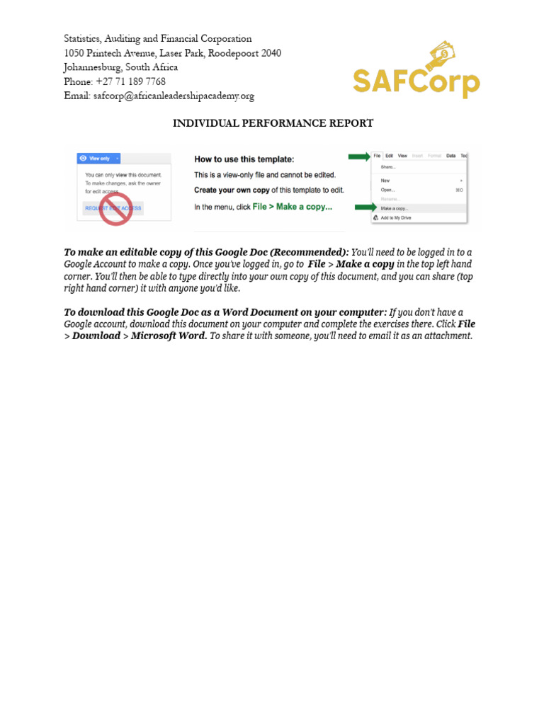 Individual Performance Review Template Lindiwe | PDF | Audit | Personal ...