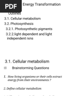 Energy Transformation in Cells | PDF | Cellular Respiration | Diet ...