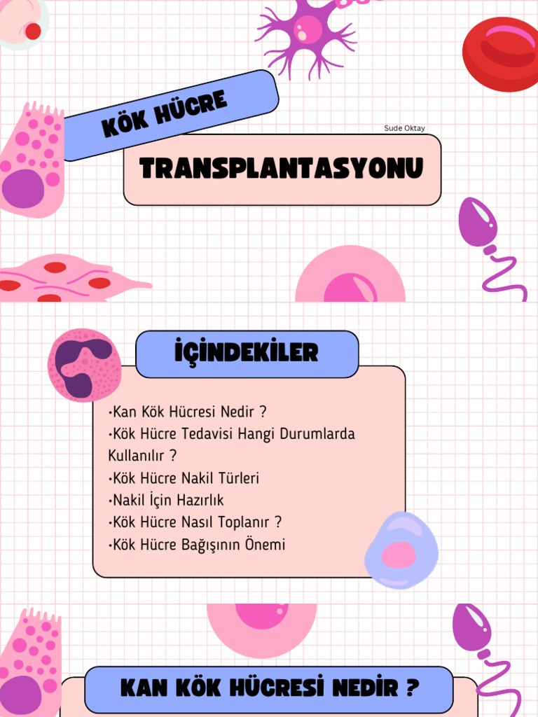 Kök Hücre - 20241217 - 205108 - 0000 | PDF