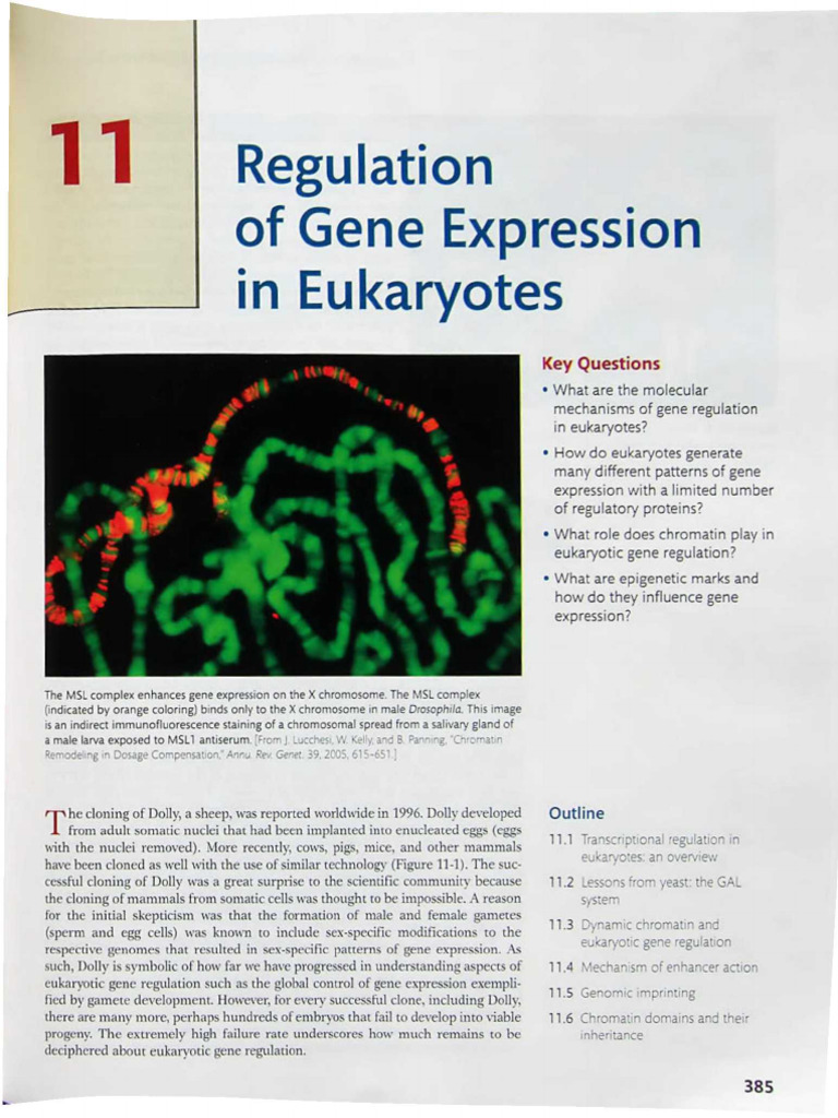 Gene expression in Eukaryotic cells | PDF | Promoter (Genetics ...