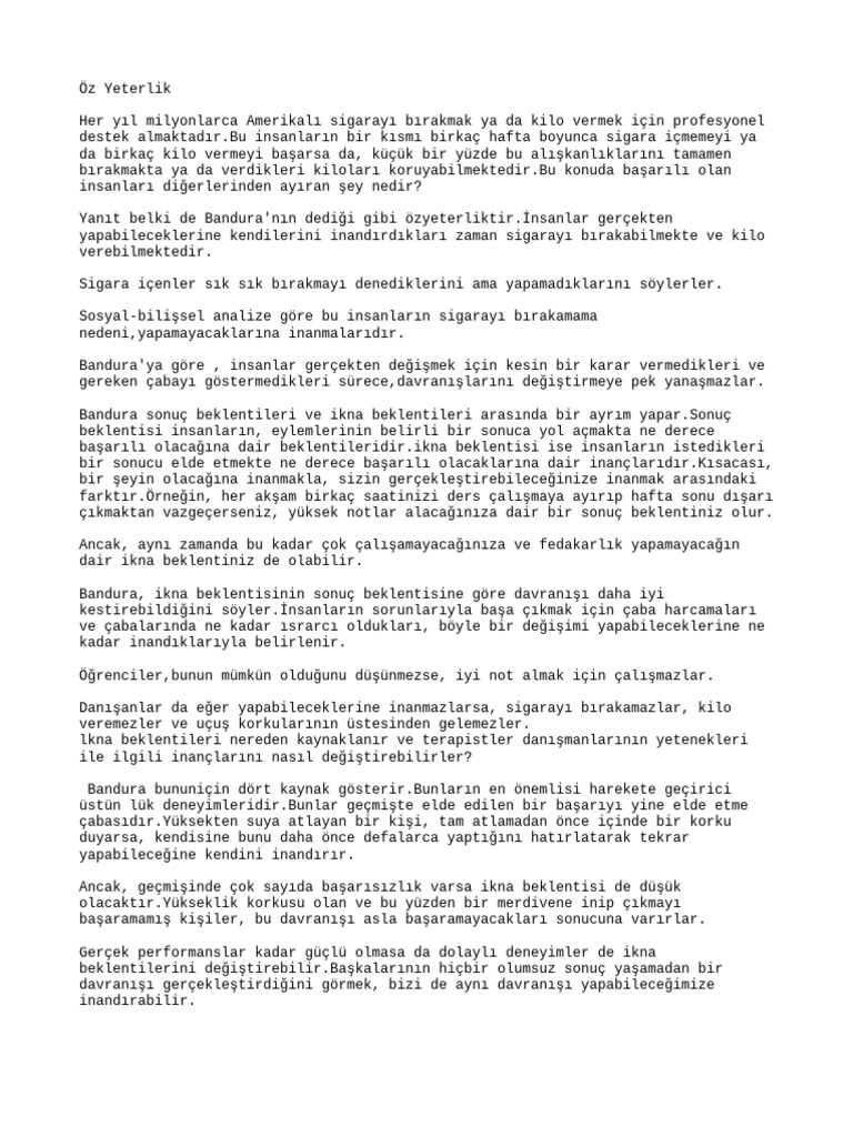 Öz Yeterlik WPS Office | PDF