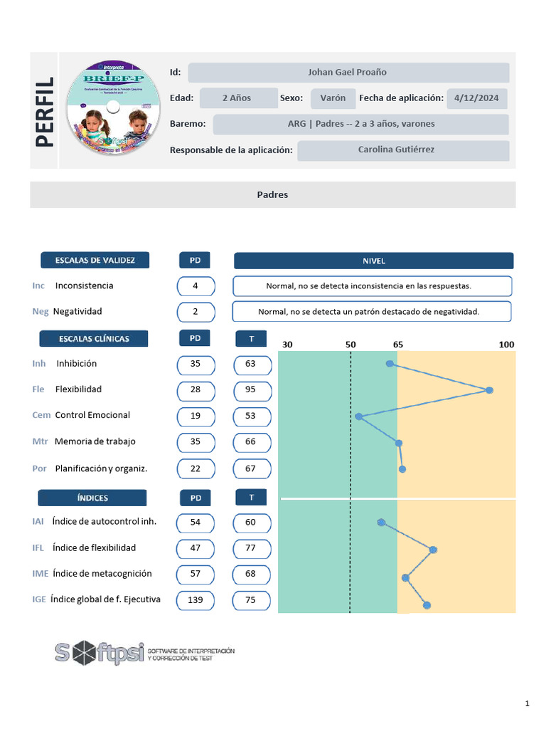 Johan Gael Proaño - BRIEF-P | PDF | Funciones ejecutivas | Comportamiento