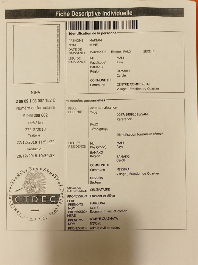 PDF - Fiche Nina Lavielle | PDF