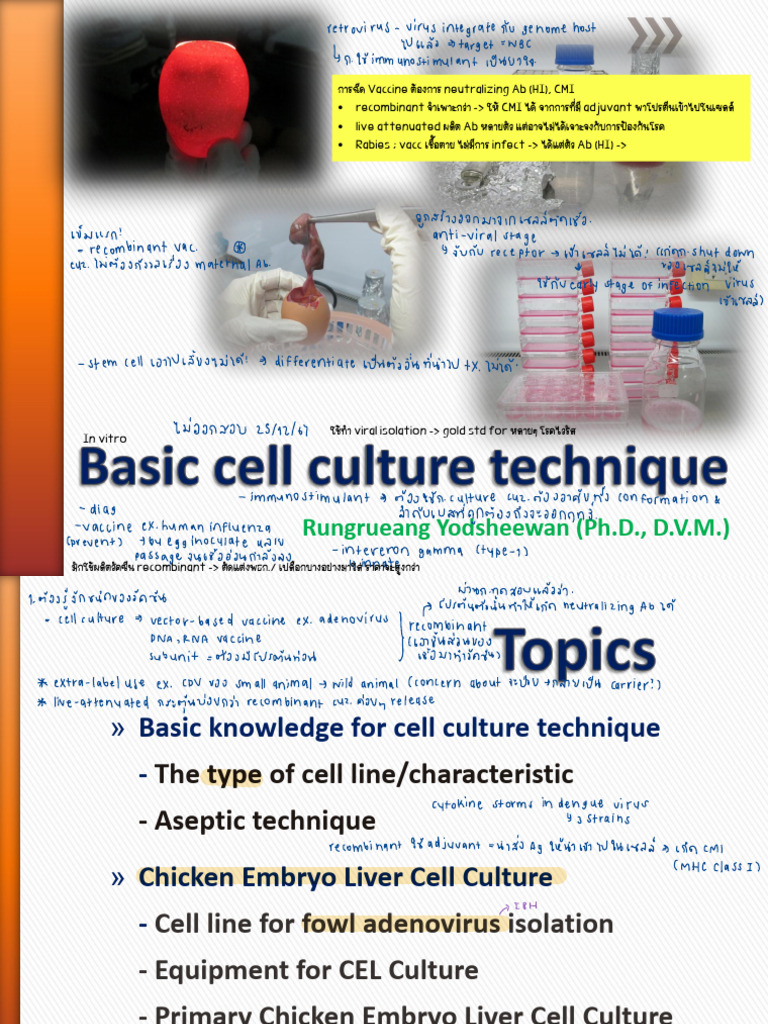 Basic Cell Culture | PDF
