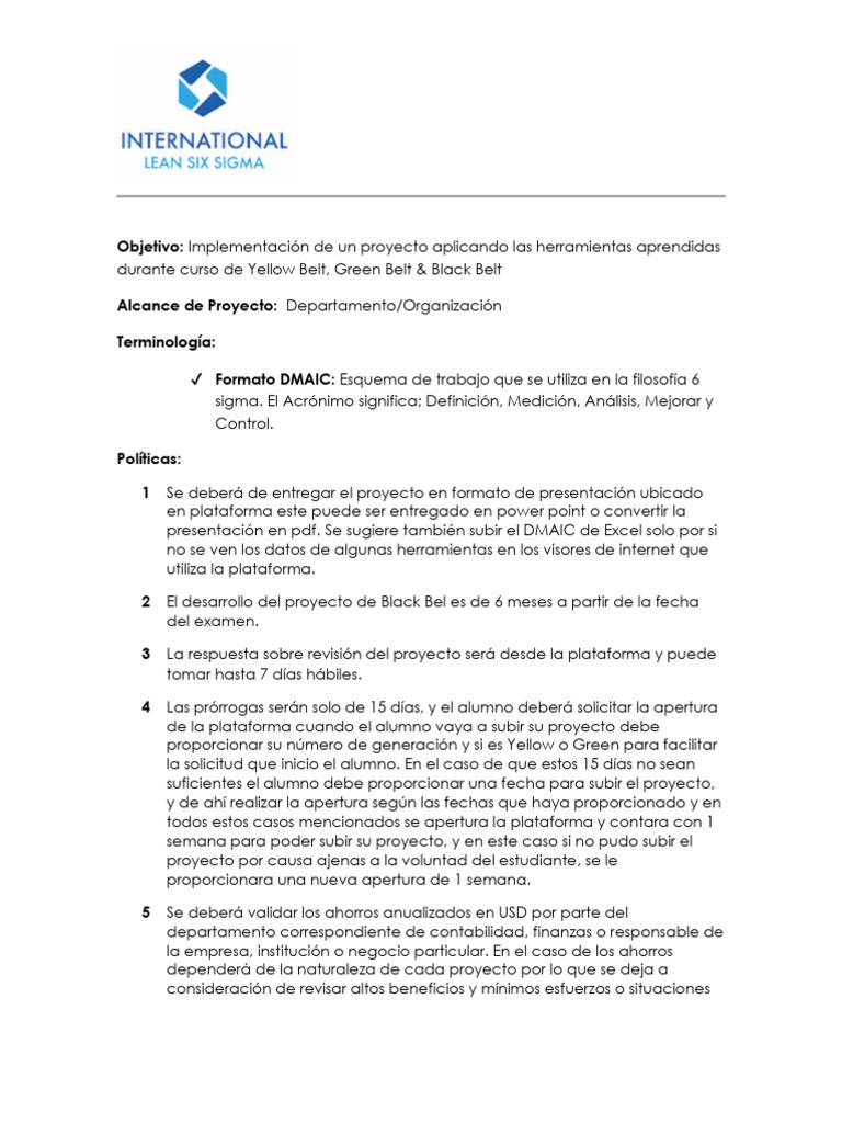 Lineamientos Proyectos BB | PDF