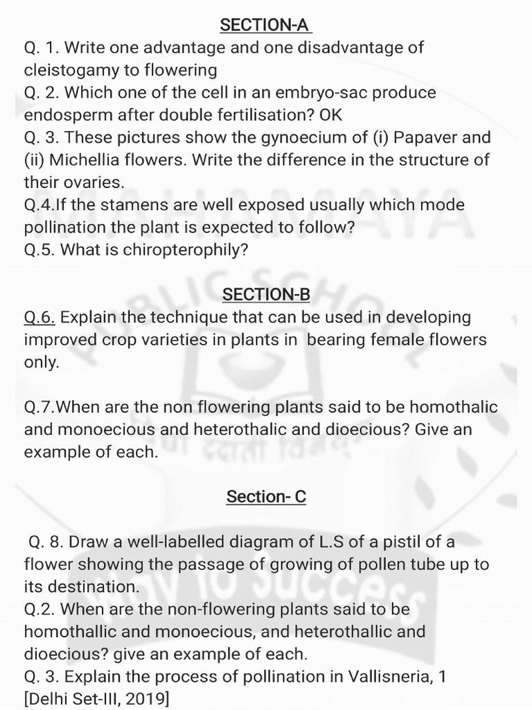 DPP-5 240321 203531 | PDF