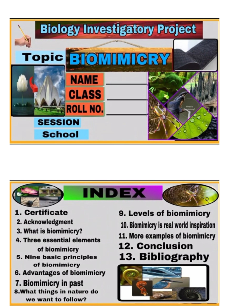 Bio Mimicry | PDF