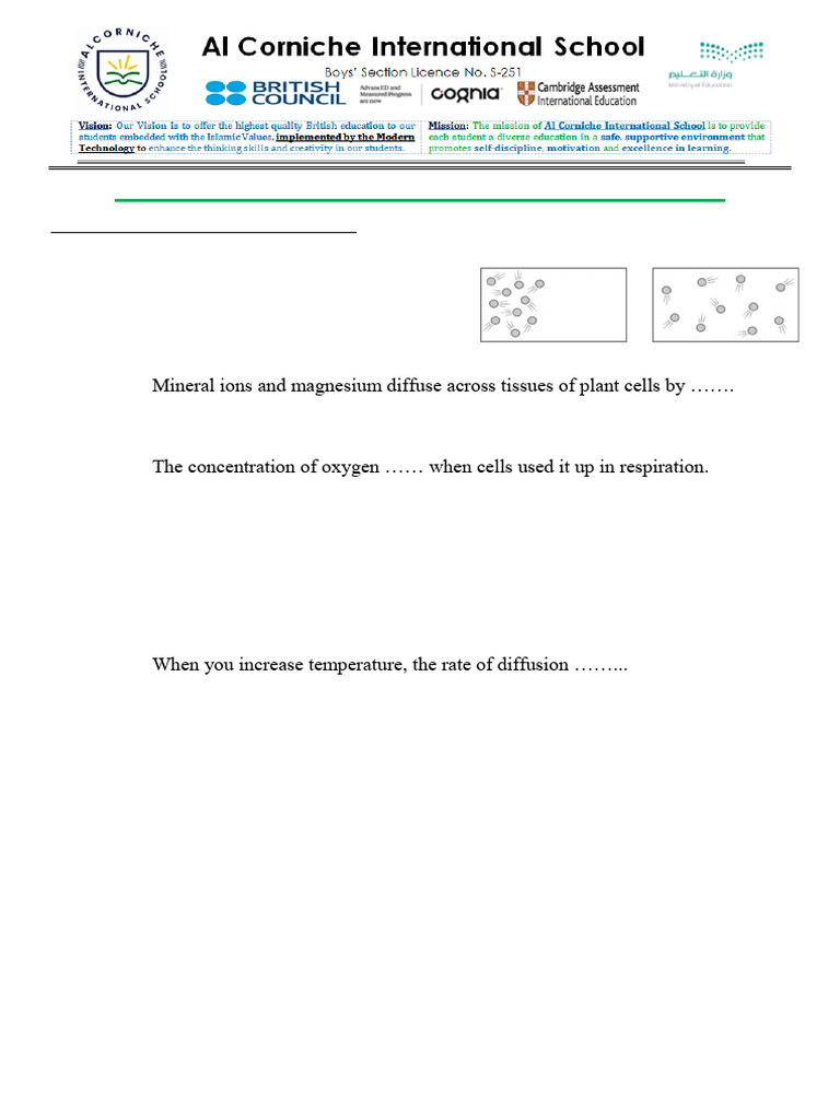 Biology IGCSE Chapter 3 Review Sheet | PDF | Diffusion | Osmosis