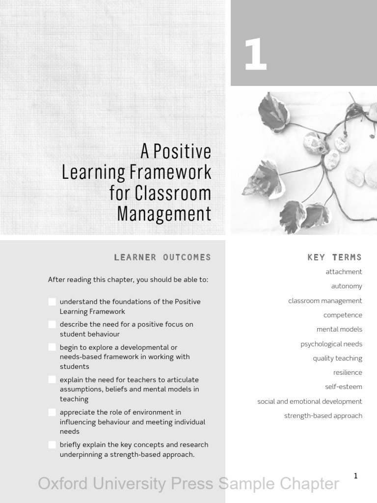 Positive Learning Framework for Classrooms | PDF | Classroom Management ...