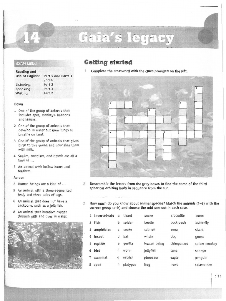 Spotlight On Advanced EB U14 | PDF