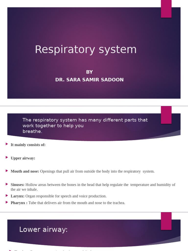 Respiratory | PDF | Respiratory Tract | Lung